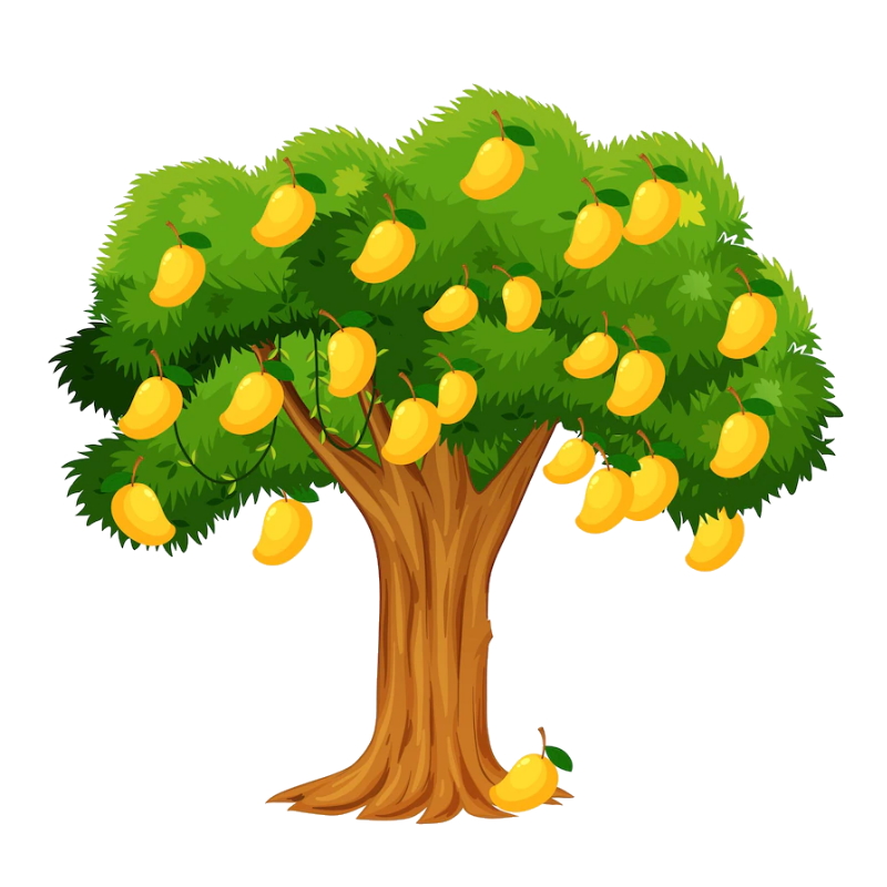 Aras 3.4 – Modul 13 – bmlearner.com